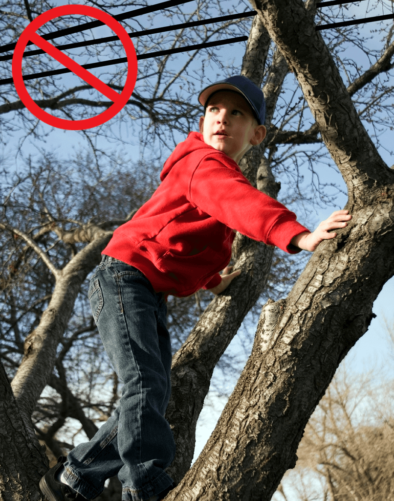 66441 Tree & Power Line Safety – CPS Energy e-SMARTkids
